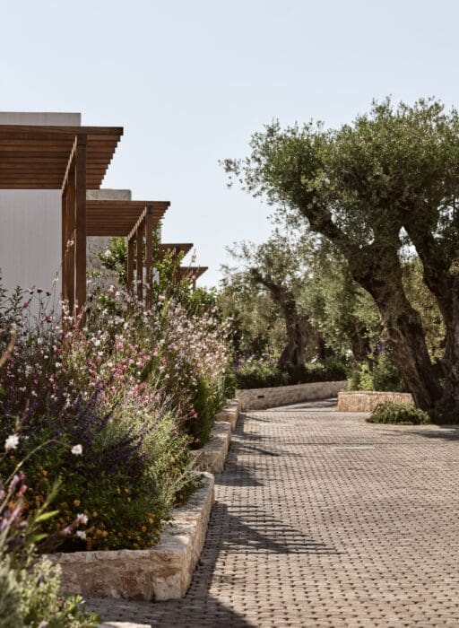 Lesante Cape: Luxury and authenticity combine to show a new side of ...