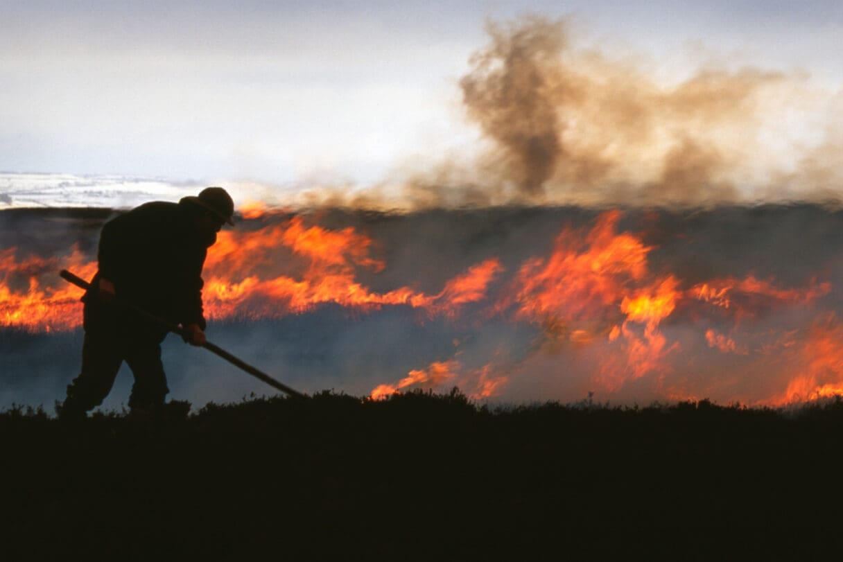 A brief history of the Glorious Twelfth – and why it's controversial