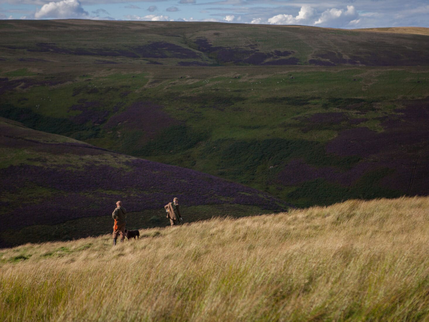A brief history of the Glorious Twelfth – and why it's controversial