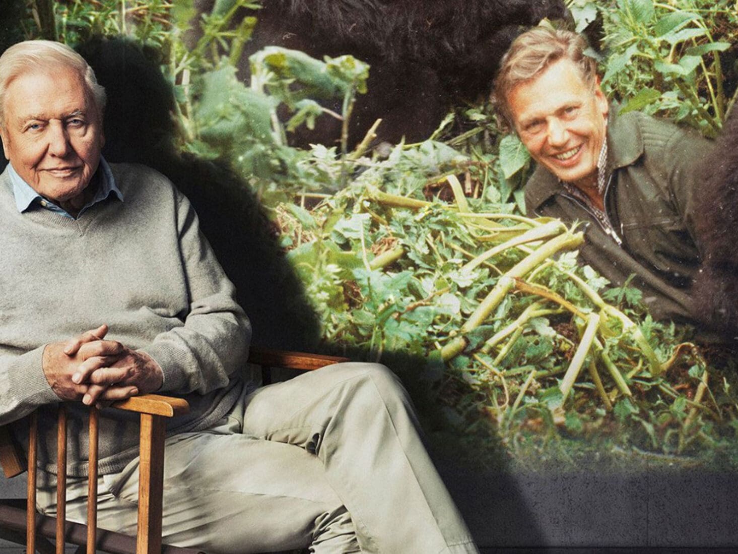 David Attenborough at 100: Five immersive travel itineraries inspired ...